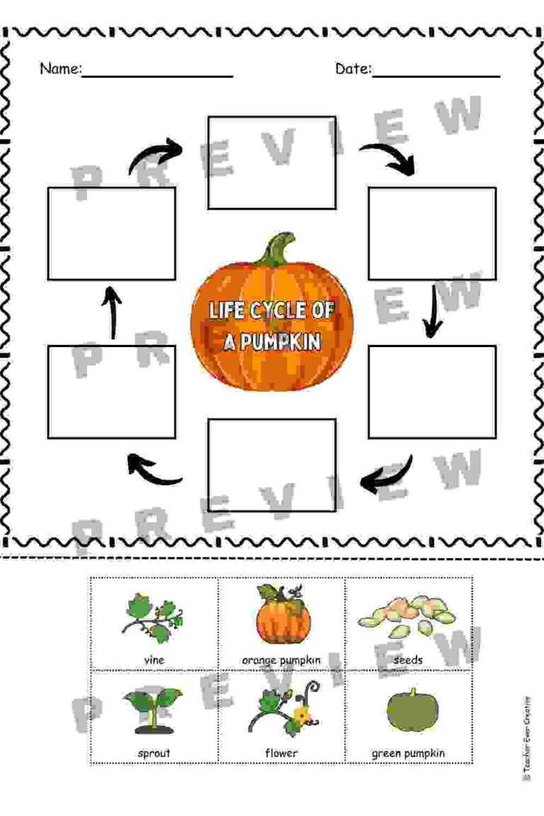 Pumpkin Life Cycle & Parts of a Pumpkin Worksheets and Activity ...