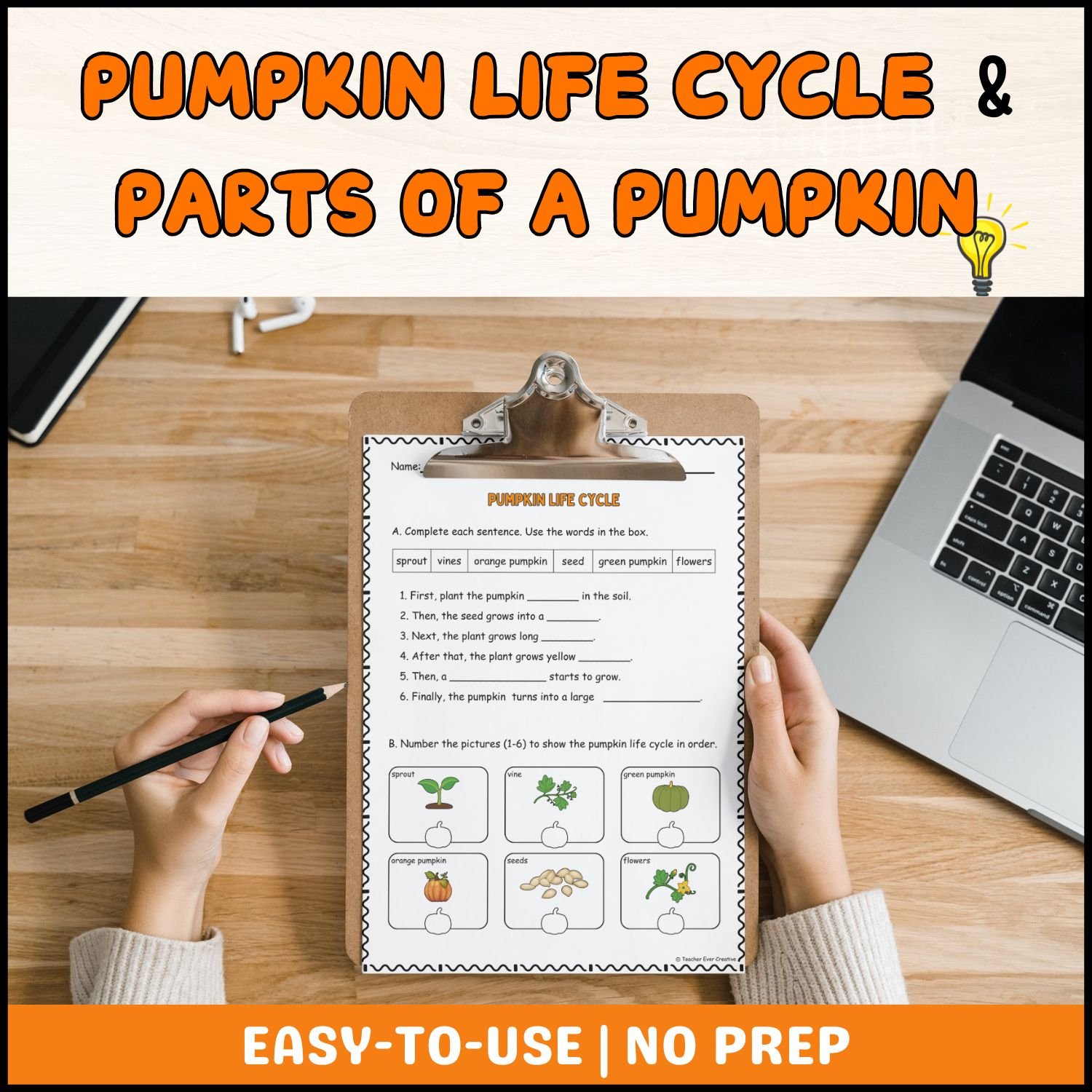 Pumpkin Life Cycle & Parts of a Pumpkin Worksheets and Activity ...