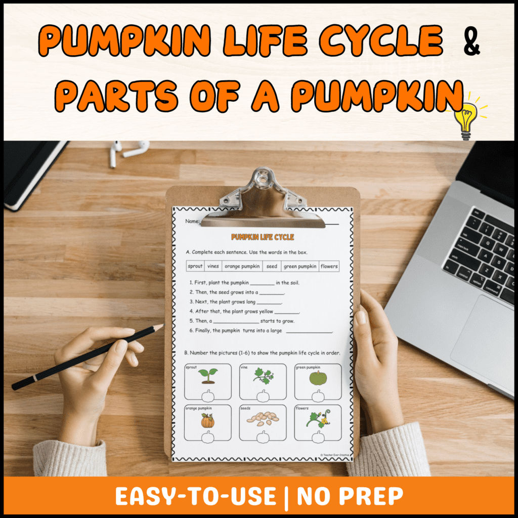 Pumpkin Life Cycle & Parts of a Pumpkin Worksheets and Activity ...
