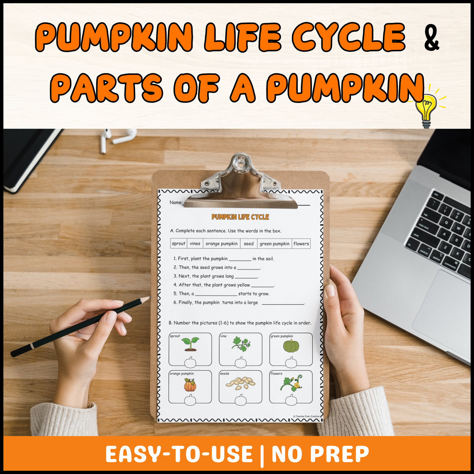 Pumpkin Life Cycle & Parts of a Pumpkin Worksheets and Activity ...