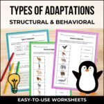 Structural and Behavioral Adaptations: How to Teach This Topic ...