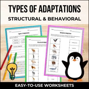 Structural and Behavioral Adaptations: How to Teach This Topic ...