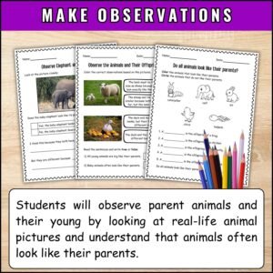 Animals and Their Young Worksheets - Easy to Use - teacherevercreative.com