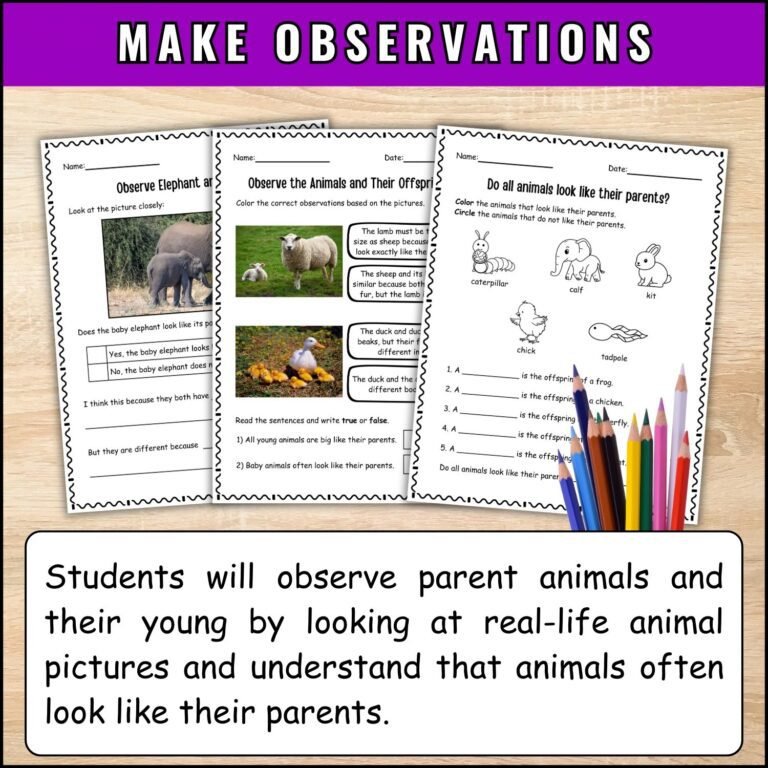 Animals and Their Young Worksheets - Easy to Use - teacherevercreative.com