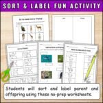 Animals and Their Young Worksheets - Easy to Use - teacherevercreative.com
