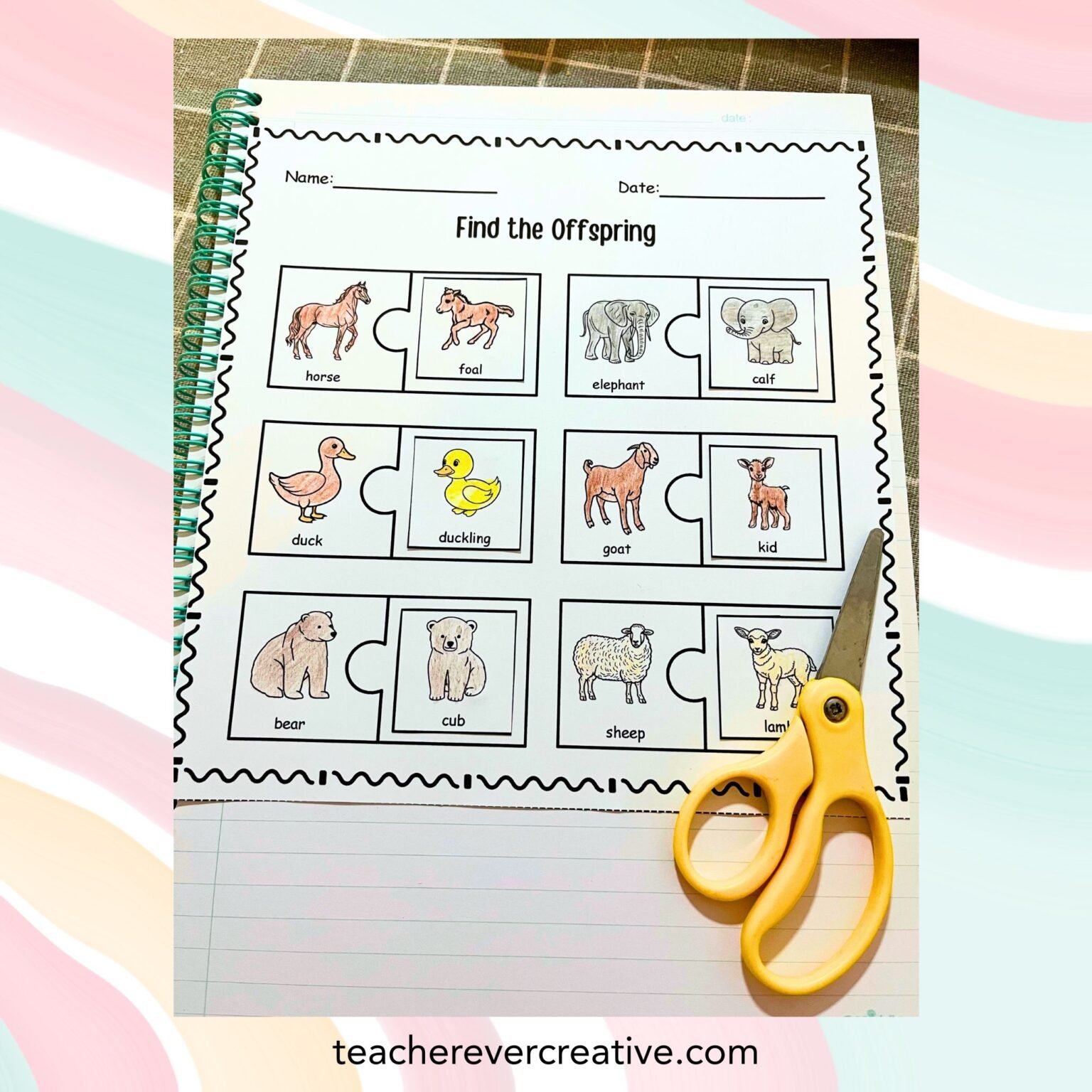 Animals and Their Young Worksheets - Easy to Use - teacherevercreative.com