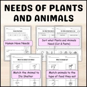 Needs of Plants and Animals Worksheets Kindergarten First Grade ...