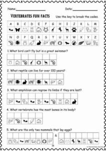 Vertebrates and Invertebrates Worksheets Easy To Use Grade 4, 5 ...