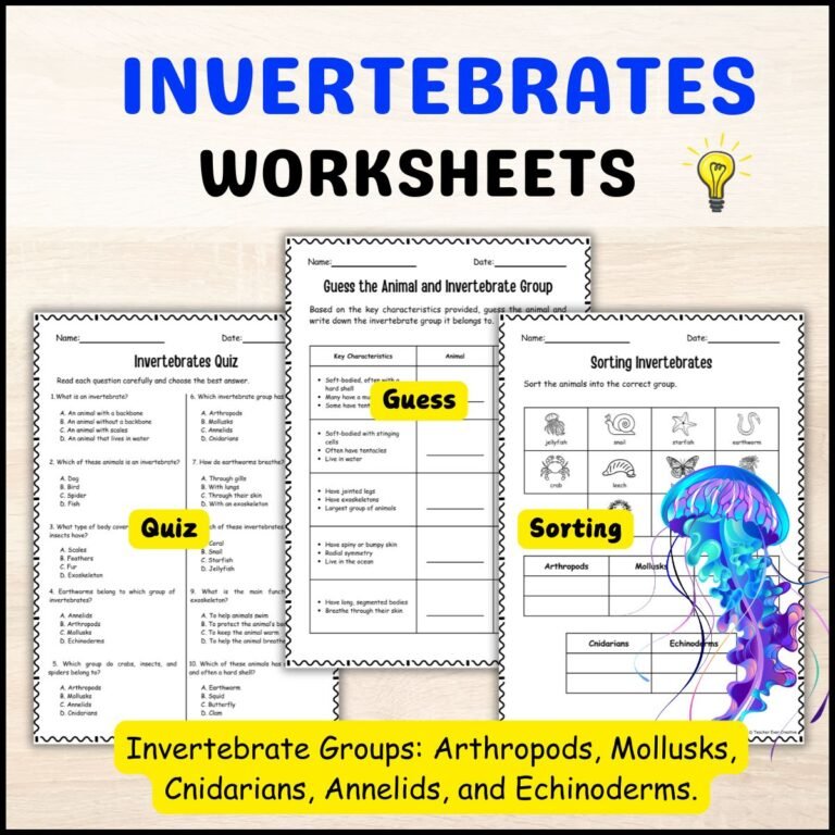 Vertebrates and Invertebrates Worksheets Easy To Use Grade 4, 5 ...