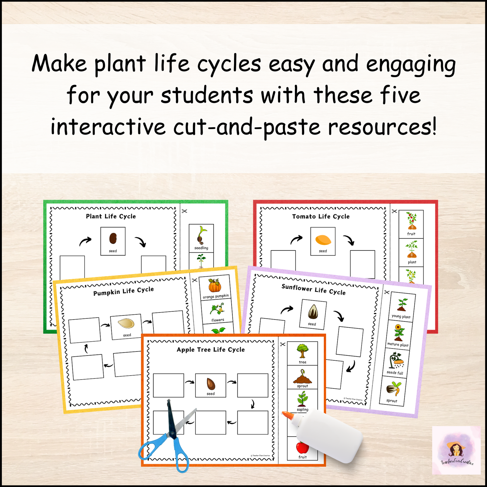 5 Plant Life Cycles Worksheets - Easy Cut and Paste ...